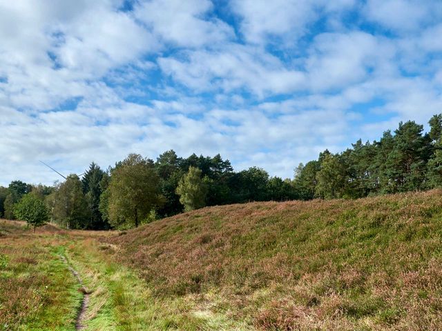Das Binnenland Dithmarschens ist geteilt in Marsch und Geest.